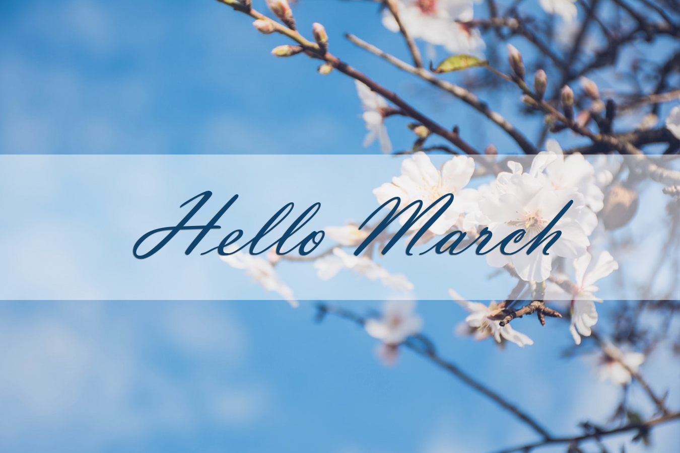 March Events in Columbus - Haven Home Realty